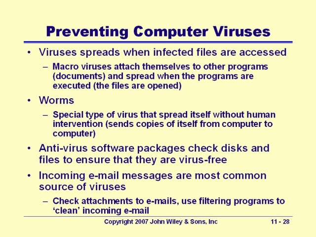 Preventing Computer Viruses